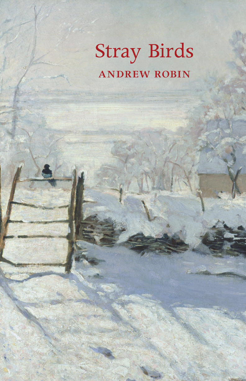Books – Andrew Robin